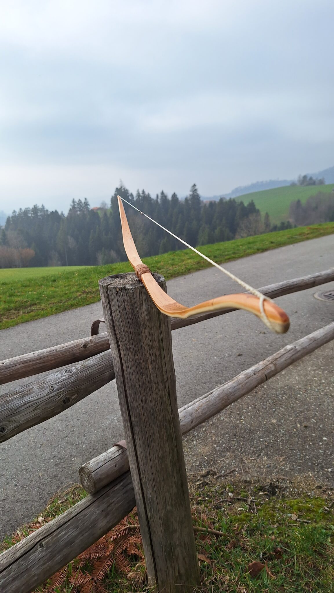 Bow of Bodman – Swiss Yew – 40# @ 28″ - SELFBOW.CH