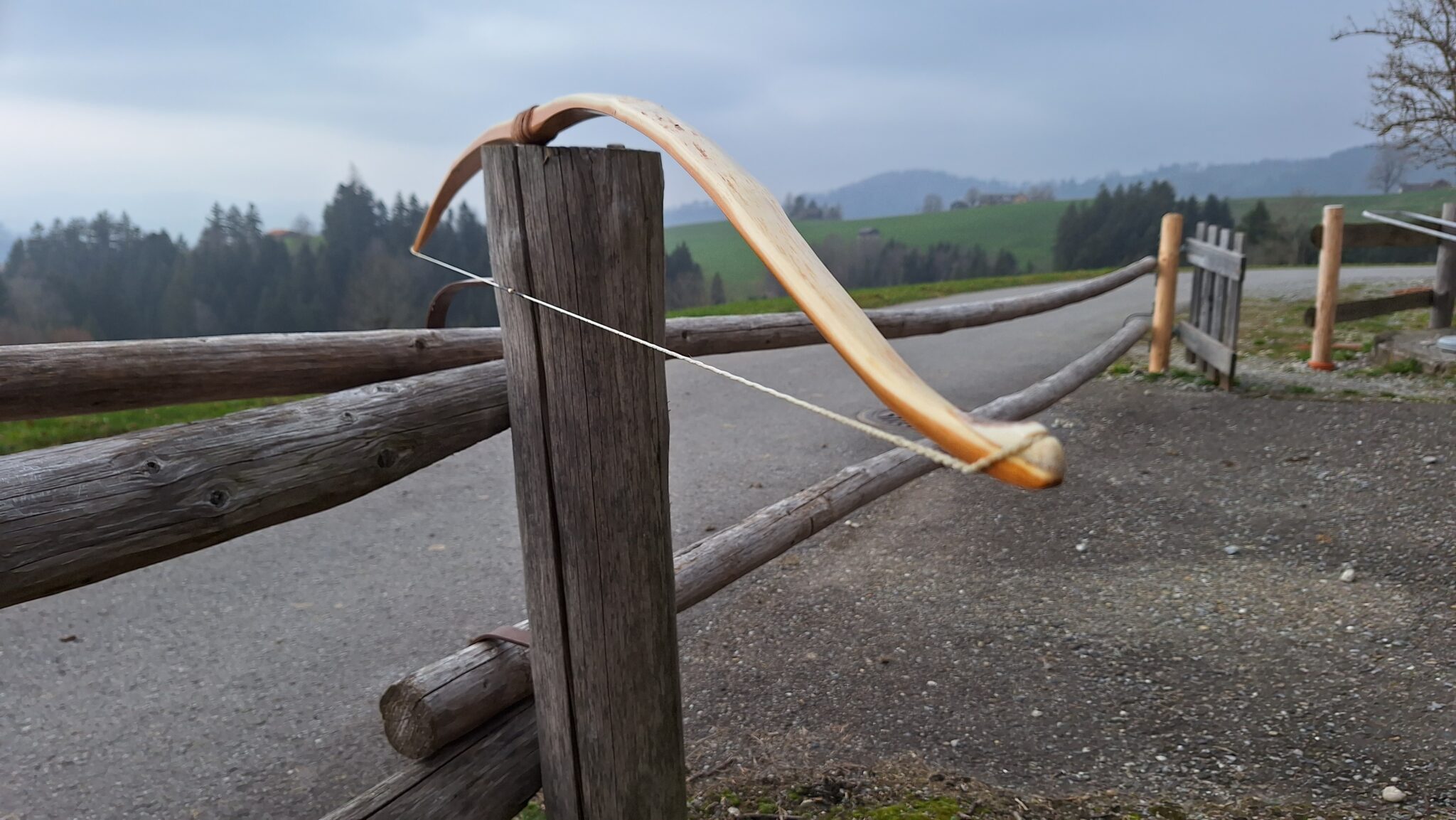 Bow of Bodman – Swiss Yew – 40# @ 28″ - SELFBOW.CH